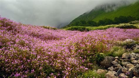 What Is Saturation And How To Get Optimal Saturation