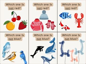 ABLLS R C Selects Non Examples FEATURES By Emily Krejci TPT