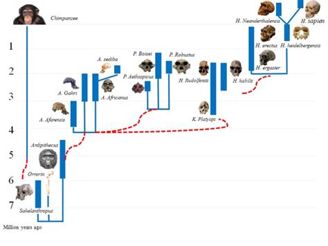 Its An Ape Its A Human Its Its A Missing