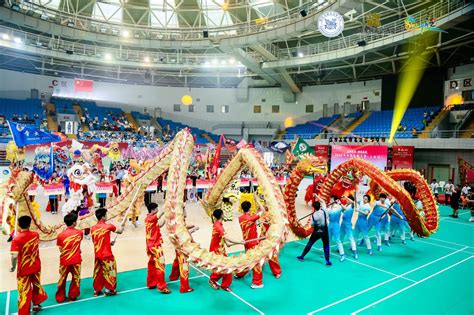 全国20支龙狮队齐聚三亚同台竞技 中国旅游新闻网
