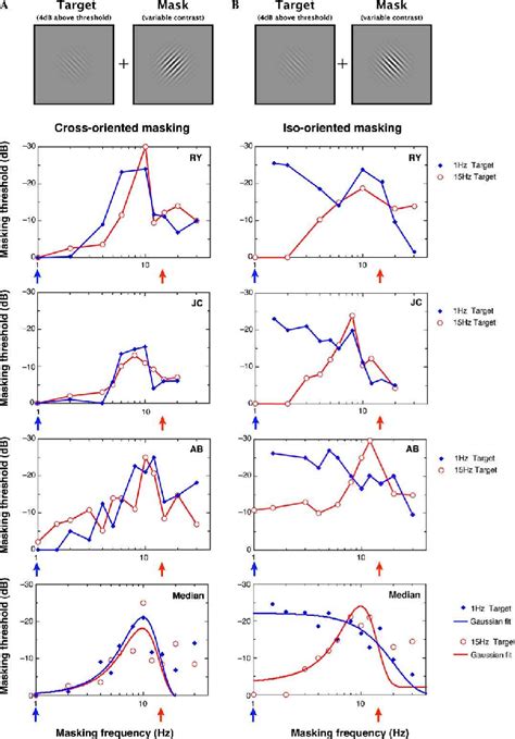 temporal masking functions measured for three observers in two spatial