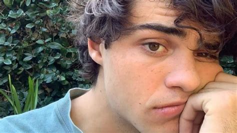 Chi è Noah Centineo Età Altezza Fidanzata Instagram E Film