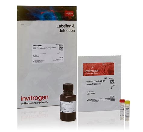 Invitrogen Qubit X DsDNA High Sensitivity HS And Broad Range BR Assay Kits Assays Buy