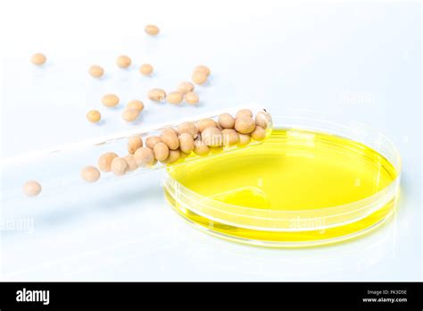 Soybean Genetically Modified Organisms At Joshua Pike Blog