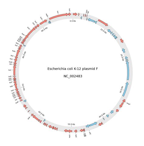 Pycirclize Circular Data Visualization In Python For Beginners