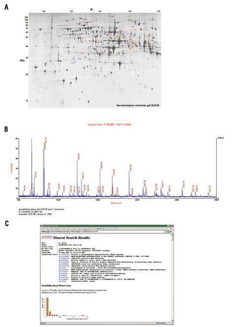 Examples Of The Types Of Data Generated By Proteomics Experimentsa
