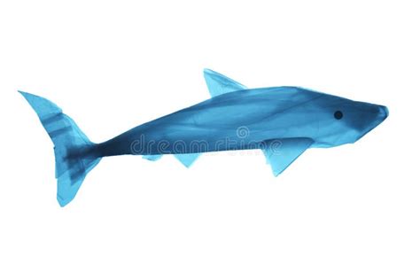 Plastic Trash In The Sea Pollution Of The World Ocean Waste Stock Photo Image Of Debris