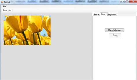 Image Editing Tool In VB Net Part 3