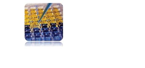 Tmb Substrate Solution High Sensitivity Gendepot