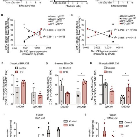 List Of Antibodies Used For Flow Cytometry Analysis Download