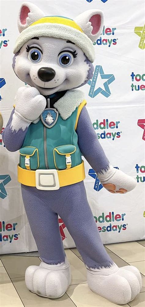 Everest Walk Around Costume Paw Patrol Costume Paw Patrol Coloring