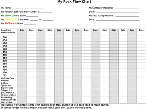 Printable Peak Flow Meter Chart Example Calendar Printable Images And Photos Finder