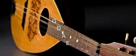 How To Tune A Mandolin In Detail Guide For Beginners [upd 2024]