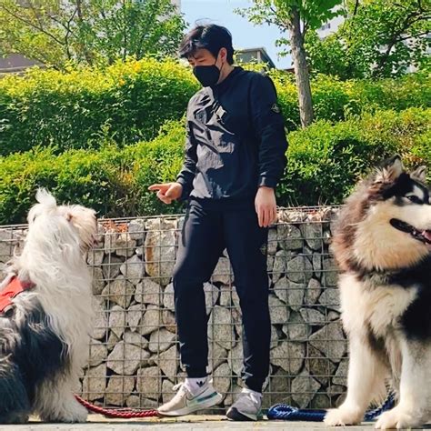 삼남매아빠 Youtube