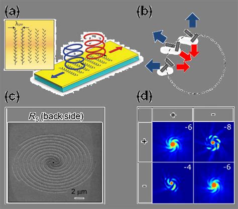 17 Spin Controlled Directional Coupling And Vortex Generation A One