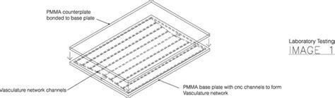 Structural Assembly Polymer Device Download Scientific Diagram