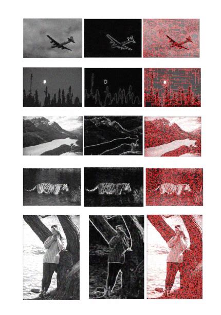 Figure 2 From An Improved Otsu Based Watershed Segmentation And Its Implementation On Virtex Ii