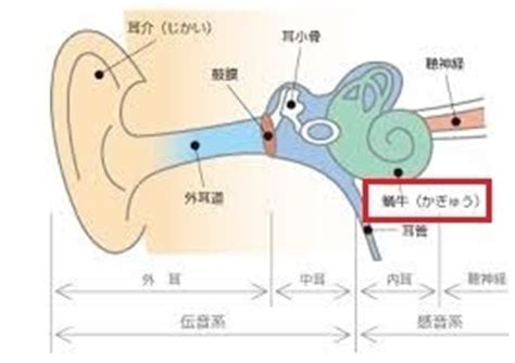 騒音性難聴の症状原因についてめまい耳鳴り難聴の情報サイト