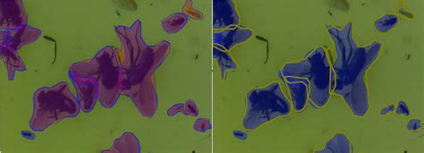 Chapter Machine Learning Sticky Pi A High Frequency Smart Insect Trap To Study Daily