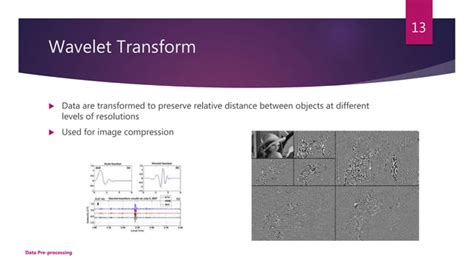 data preprocessing ppt pptx