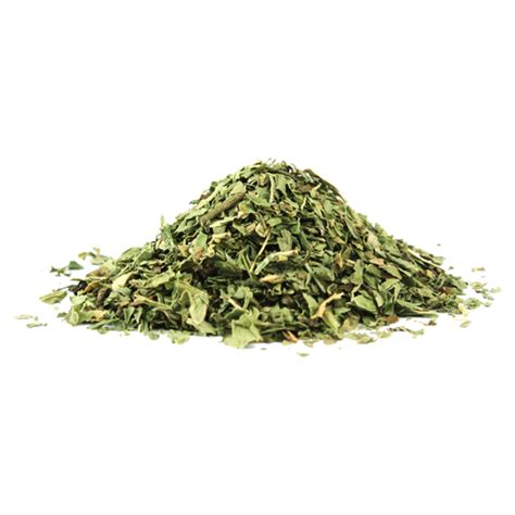Mint Leaves 250g Daraz Pk Buy Online At Best Prices In Pakistan