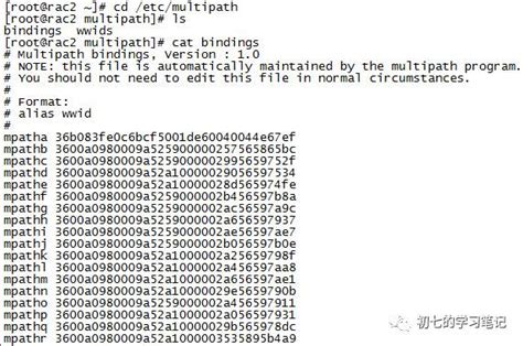 使用多路径配置oracle Rac共享存储（multipath） 墨天轮