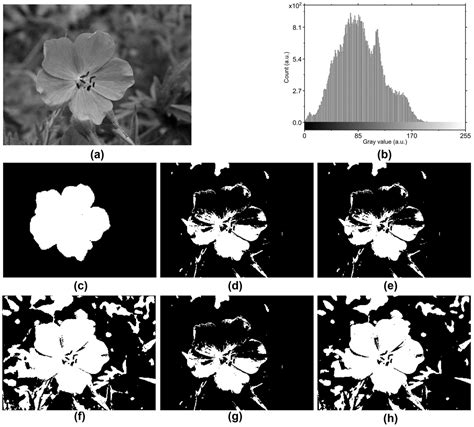 Random Coupled Neural Network