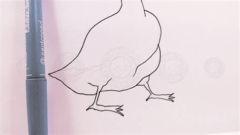 Как нарисовать гуся поэтапно карандашом инструкция с фото и описанием