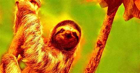 Preeti Cholleti On Linkedin Openai Releases Patch To Address Alleged