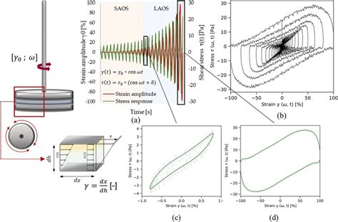 Oscillatory Rheometry Setup And Raw Data Handling A Amplitude Sweep Download Scientific