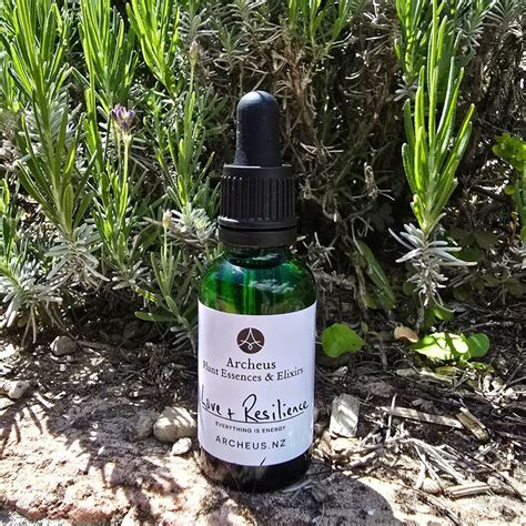 Love And Resilience Plant Elixir — Georgina Langdale