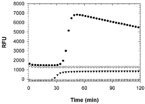 Figure A 4 Use Of Intercalating Dye Evagreen And Assimilating Probes