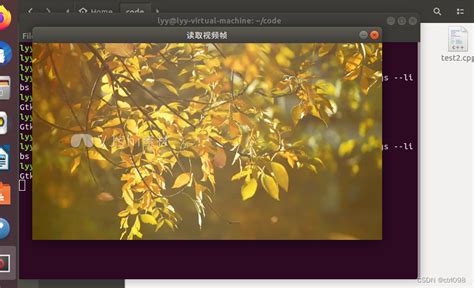 Opencv的基本使用以及图片视频的示例 调用opencv示例 CSDN博客