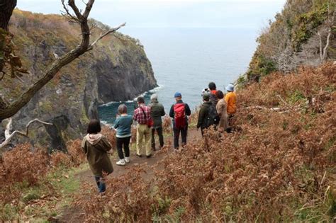 北海道知床当店イチオシ遊歩道の無い原生林を歩こう知床ウトロ森歩き 絶景ツアー無料送迎付き 北海道体験 北海道の体験型