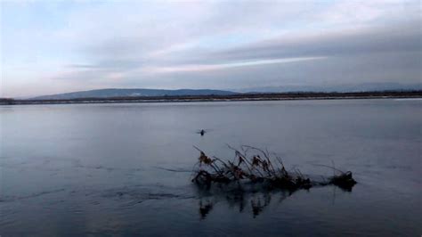 ლედი და რიონი Youtube