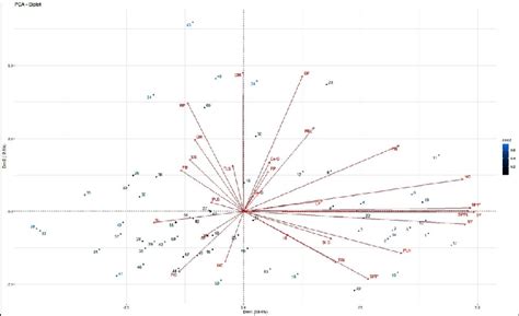 Biplot Showing The Distribution Of Genotypes And Contribution Of All