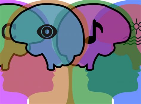 Perceptual Inference Bcbl