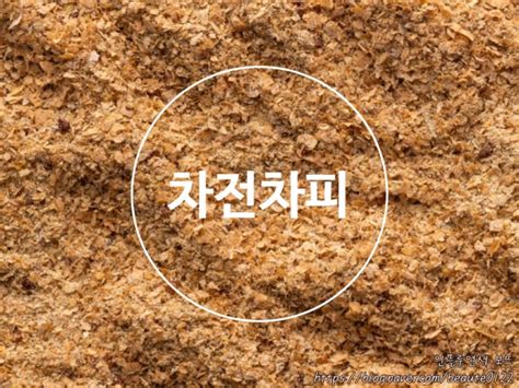차전차피 효능 5가지 부작용 차전자피 먹는법 하루섭취량 네이버 블로그