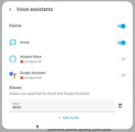 Troubleshooting Assist Home Assistant