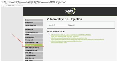 sql注入复现——dvwa靶场（有回显 vs 无回显） dvwa command injection没有回显 csdn博客