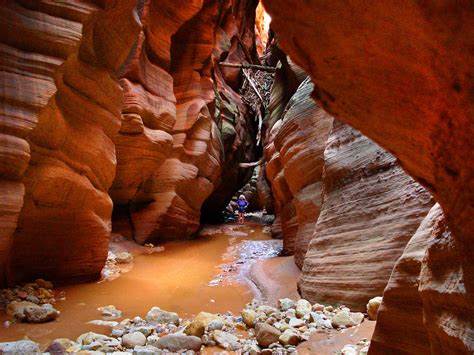 Buckskin Canyon Buckskin Gulch After A Flash Flood Klaus Kommoss