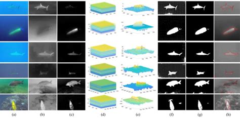Our Underwater Object Segmentation Process A Original Sample B