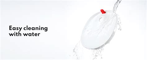 Easiest Cat Fountain To Clean At Kelley Bishop Blog