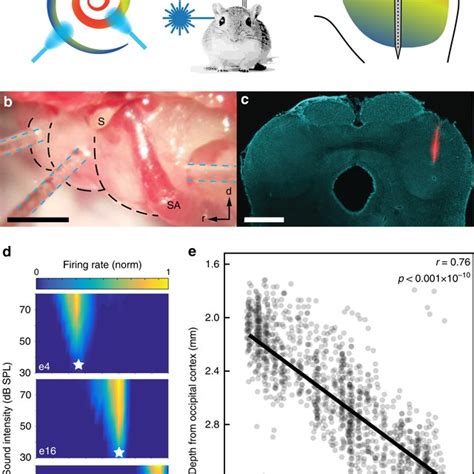 Experimental Layout And Acoustic Response Properties A Experimental