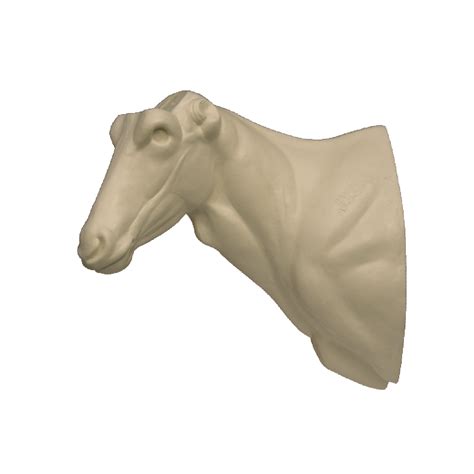 Oryx Kuh Oryx Gazella Links P646129