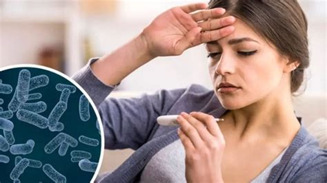 Conoce Cuáles Son Los Síntomas De La Fiebre Tifoidea
