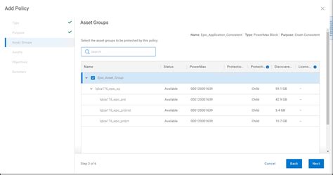 asset group configuration protecting epic data with dell powerprotect