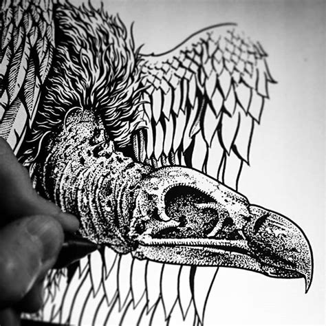 Vulture Skull Drawing