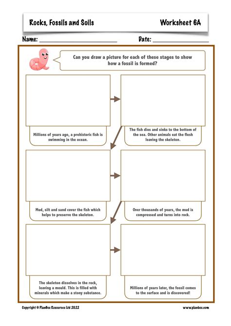 Fossils Ks2 Lesson Packs And Information Planbee
