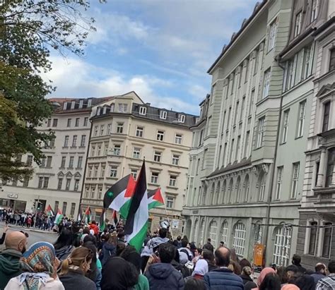 Salma Elbadry On Linkedin Freepalestine Justice Ceasefireingaza Humanity Stoptheviolence